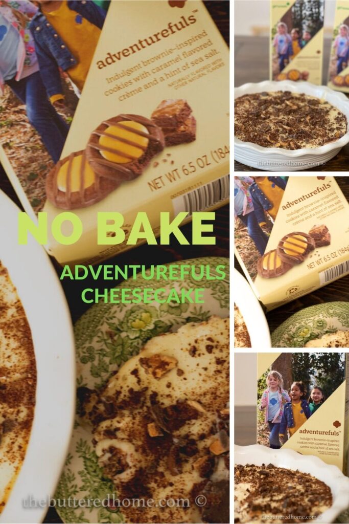 No Bake Adventurefuls Cheesecake - The Buttered Home