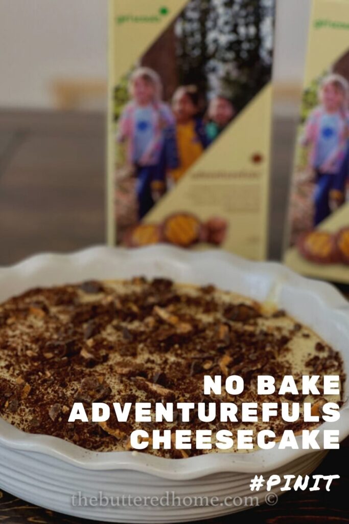 No Bake Adventurefuls Cheesecake - The Buttered Home