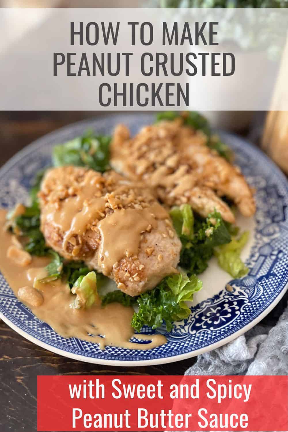 Peanut Crusted Chicken with Sweet and Spicy Peanut Butter Sauce - The ...