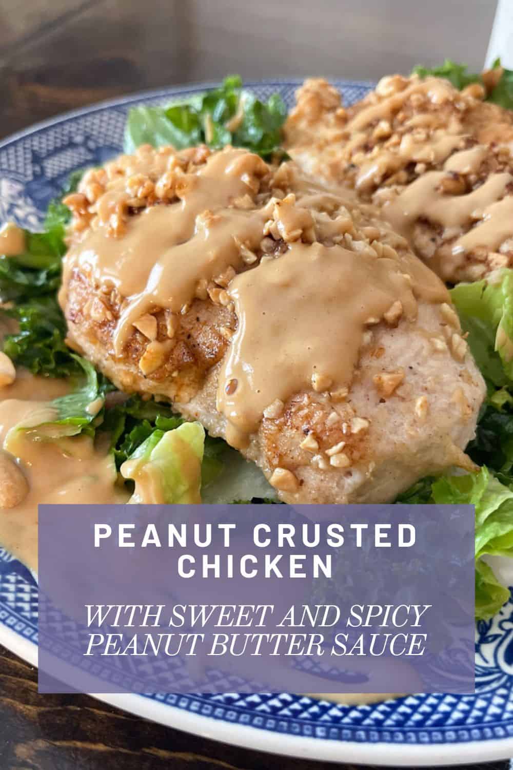Peanut Crusted Chicken with Sweet and Spicy Peanut Butter Sauce - The ...