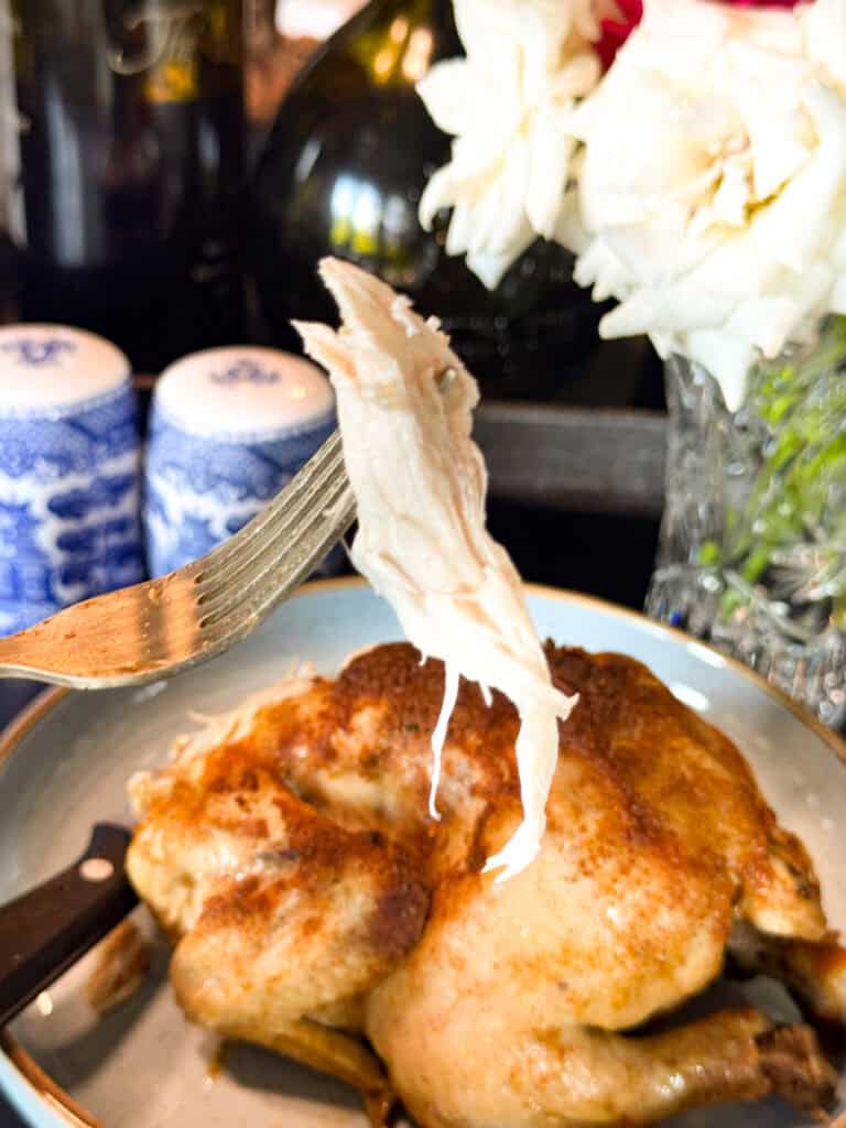 Instant Pot Cornish Hens from Frozen - The Buttered Home